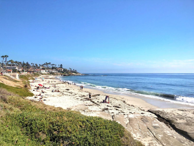 Windansea Beach: Why It's Our Favorite in La Jolla San Diego