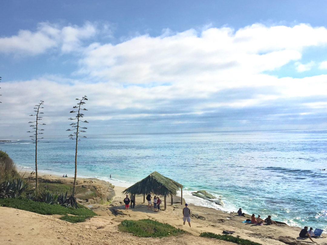 Windansea Beach: Why It's Our Favorite in La Jolla San Diego