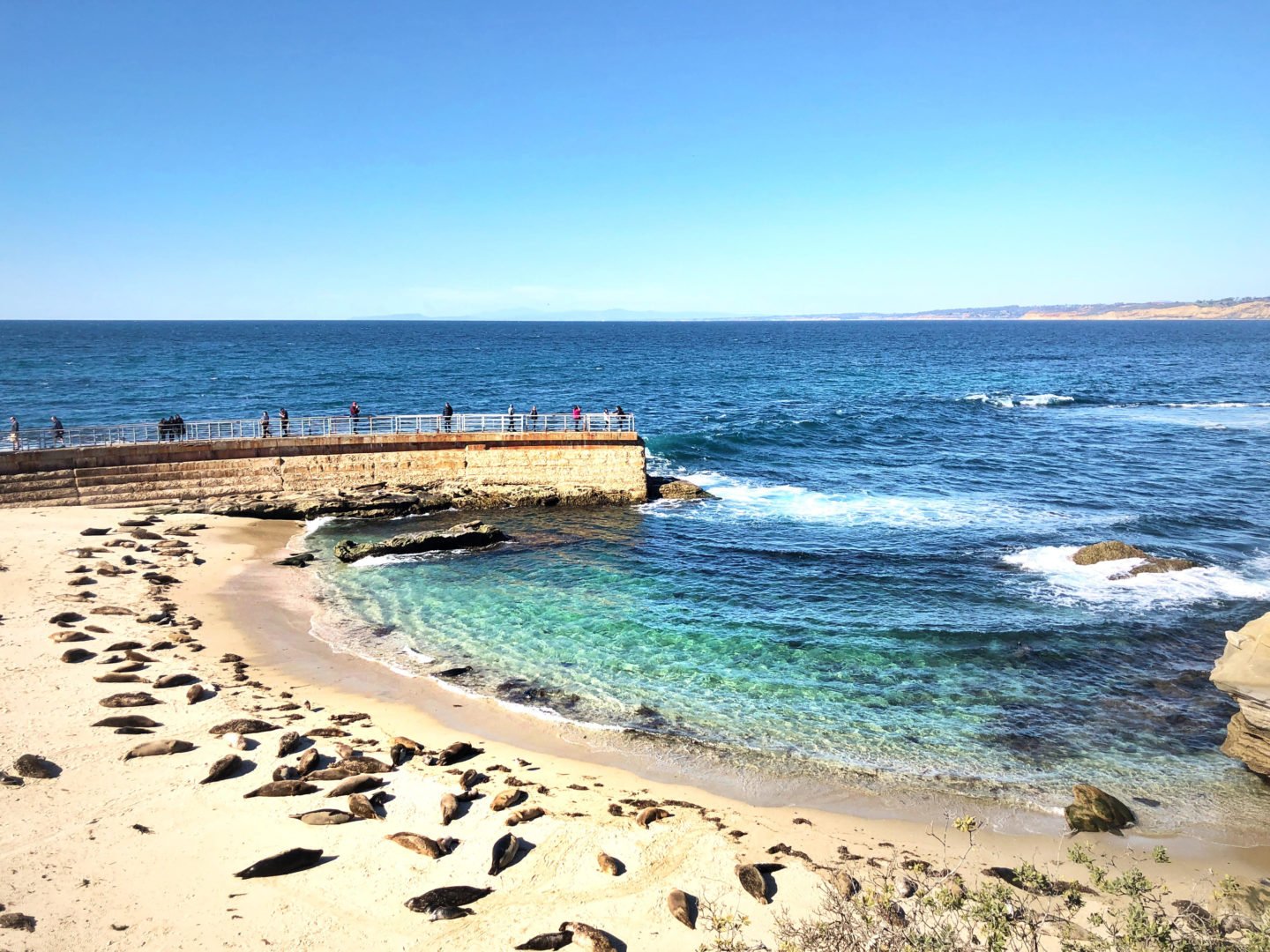 9 Beautiful Beaches in La Jolla California You Have to Experience