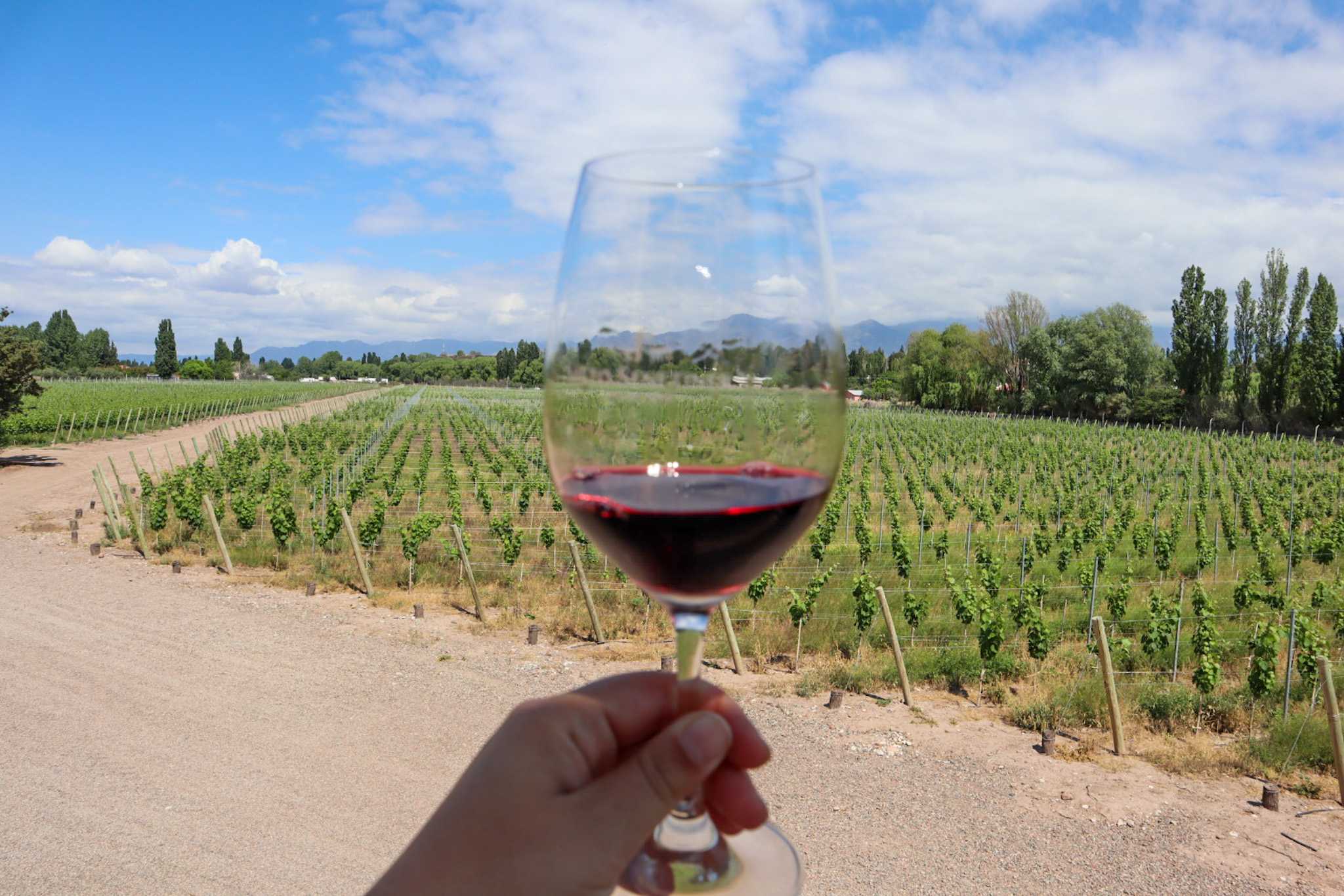 Why You Should Take a Mendoza Argentina Bike & Wine Tour