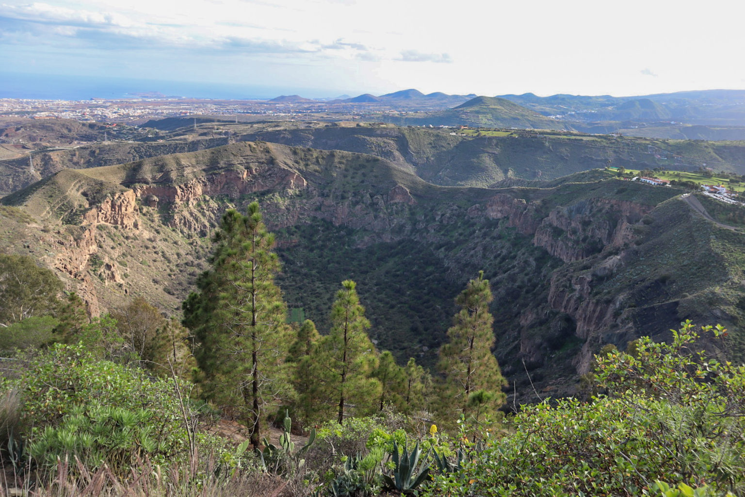 Pico De Bandama