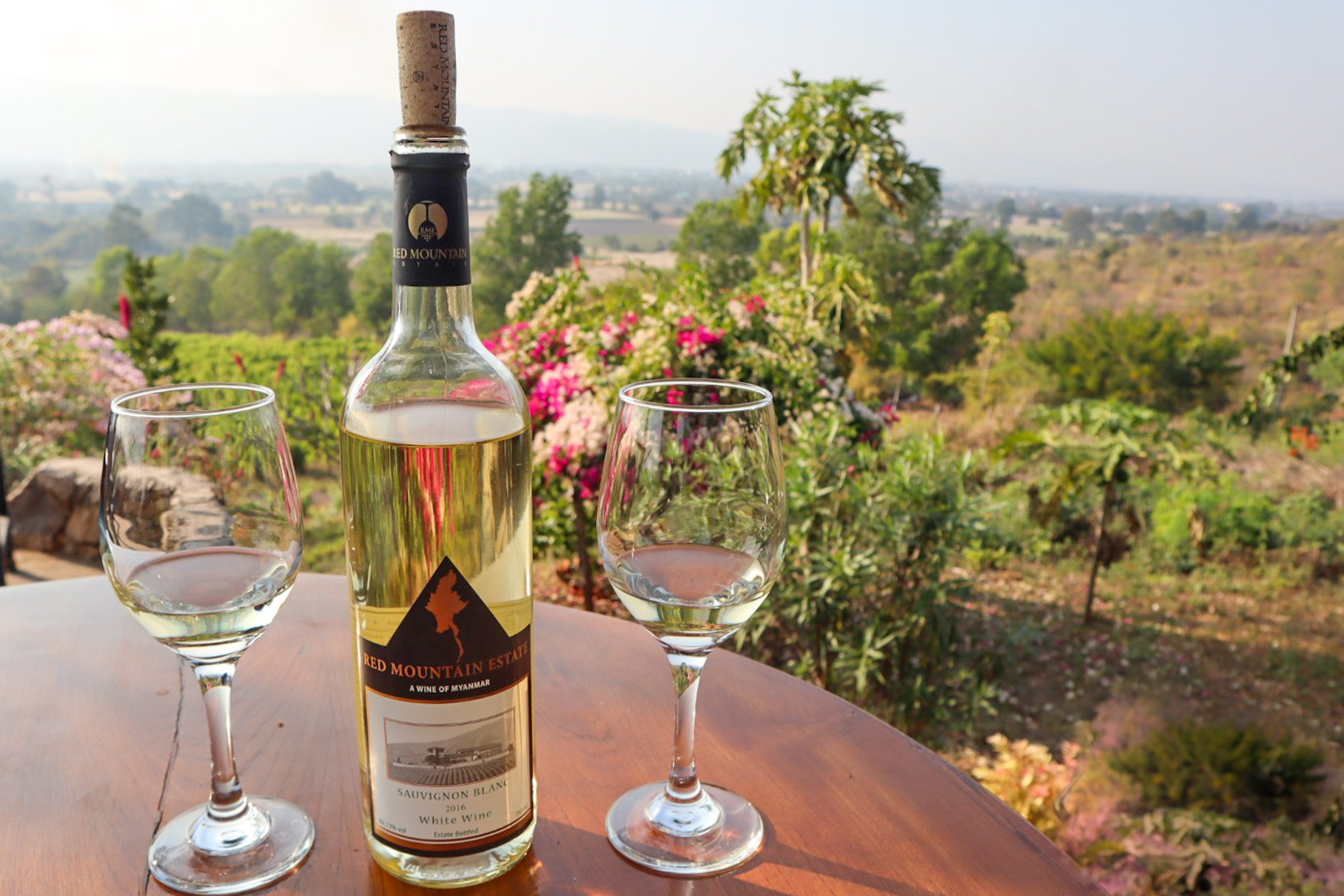 Myanmar Wine Tasting: Inle Lake's Red Mountain Estate Vineyard