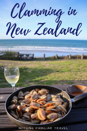 New Zealand Clams: How to Find Tua Tua in the Bay of Plenty