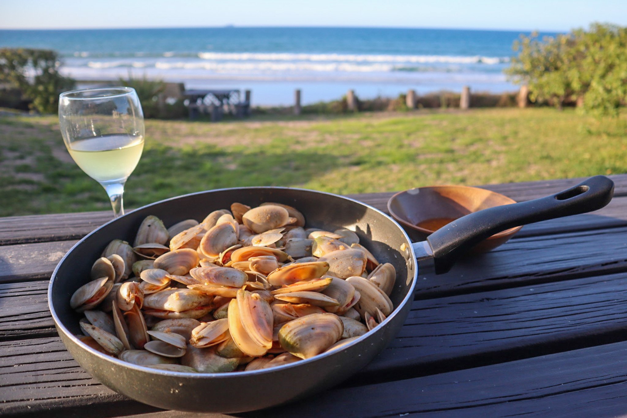New Zealand Clams: How to Find Tua Tua in the Bay of Plenty