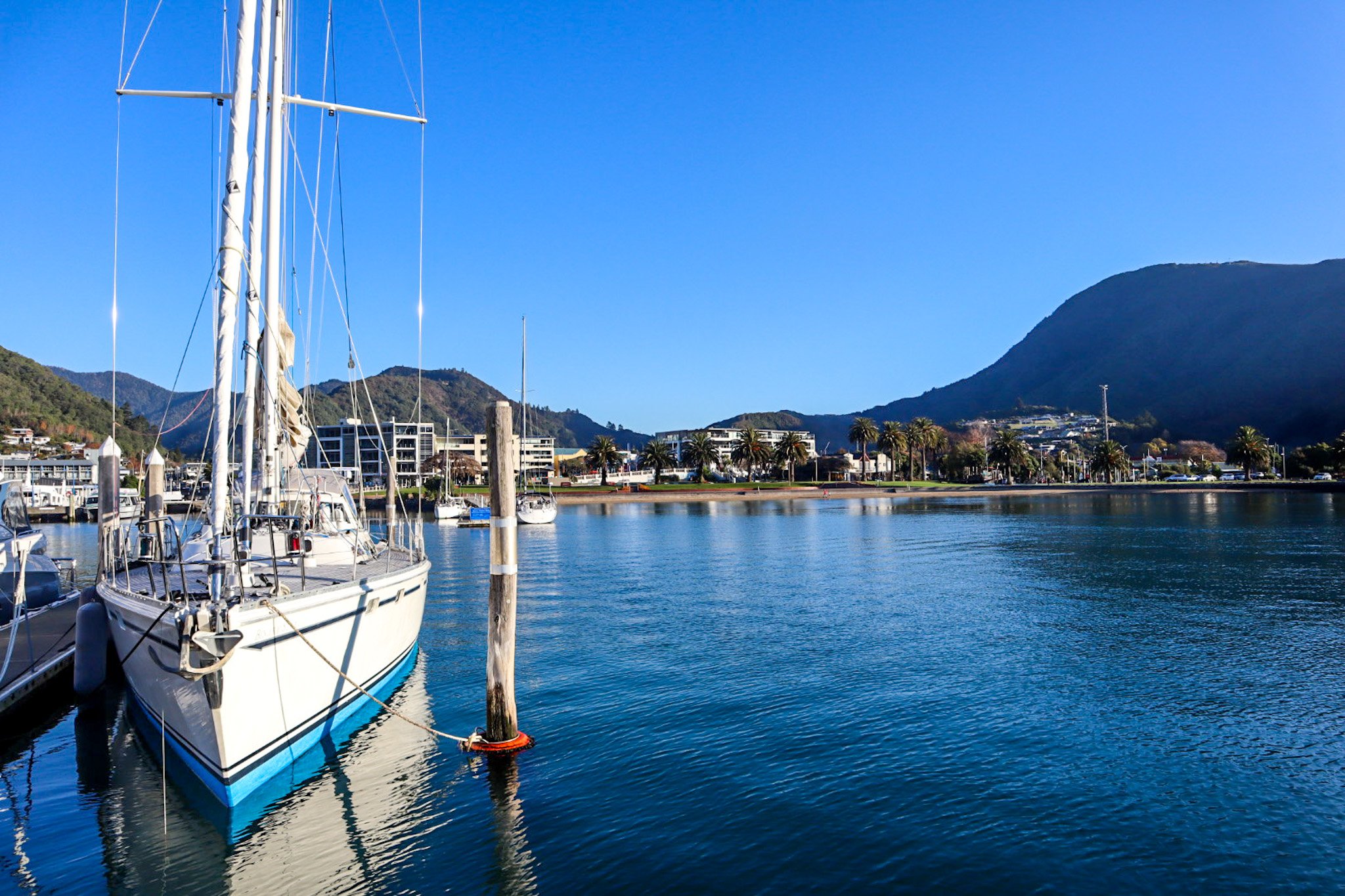 6 Can't Miss Things to do in Picton New Zealand