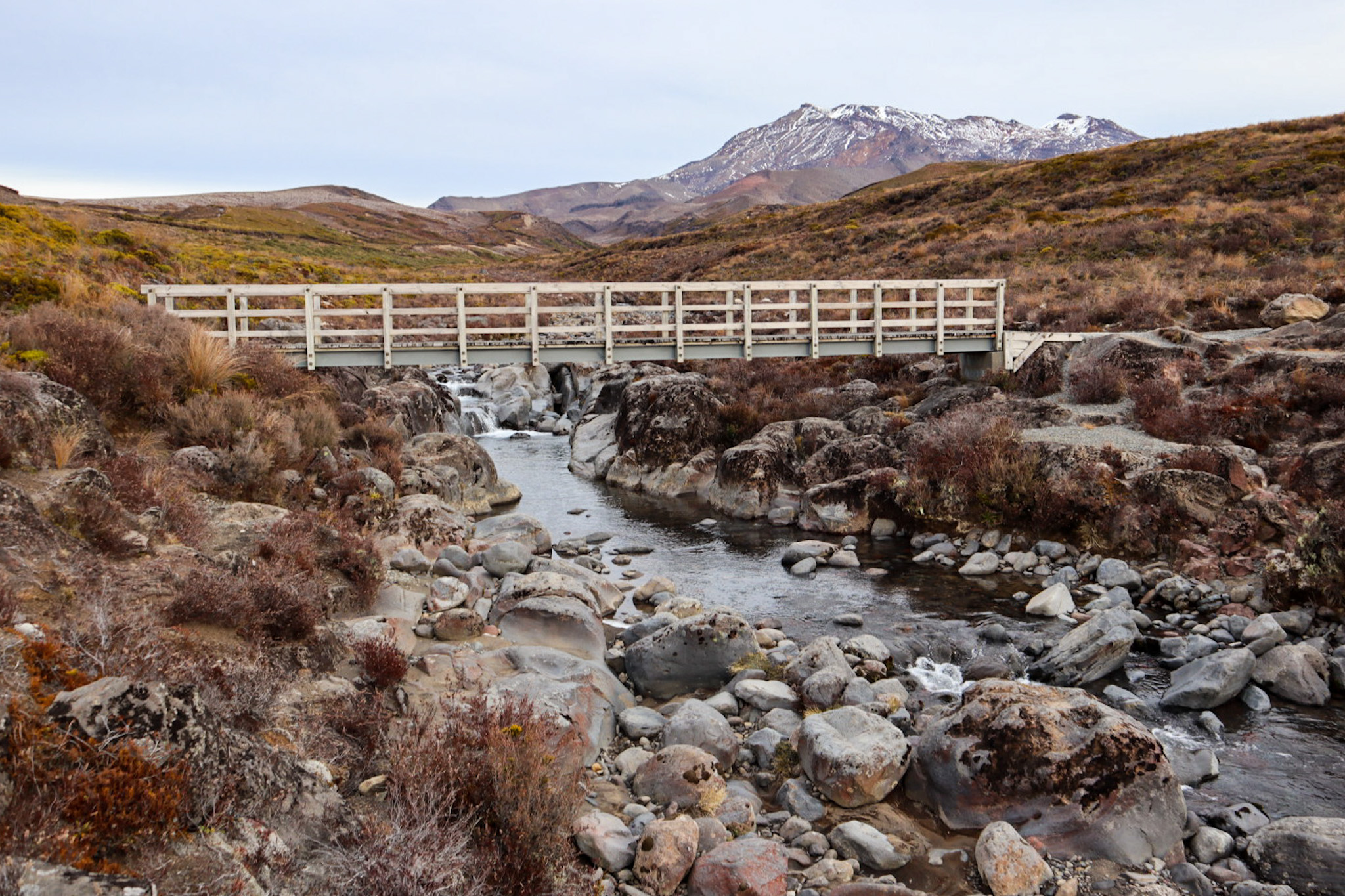 Taranaki Falls Track: 2 Hour Easy Hike to a Magical Waterfall