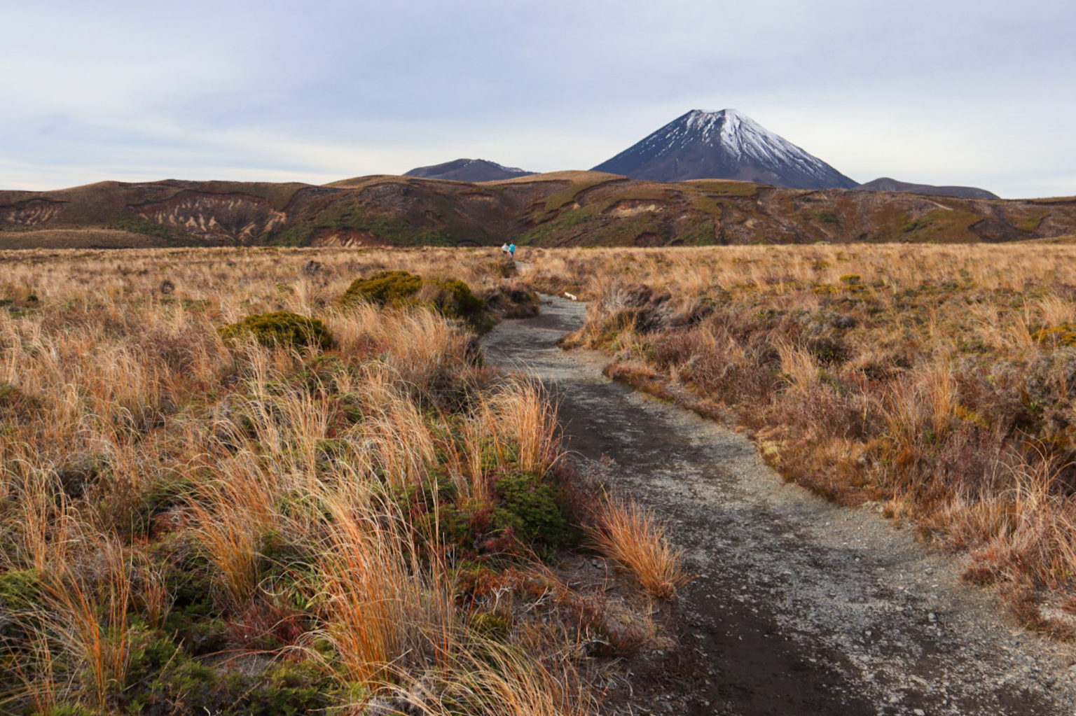 Taranaki Falls Track: 2 Hour Easy Hike to a Magical Waterfall