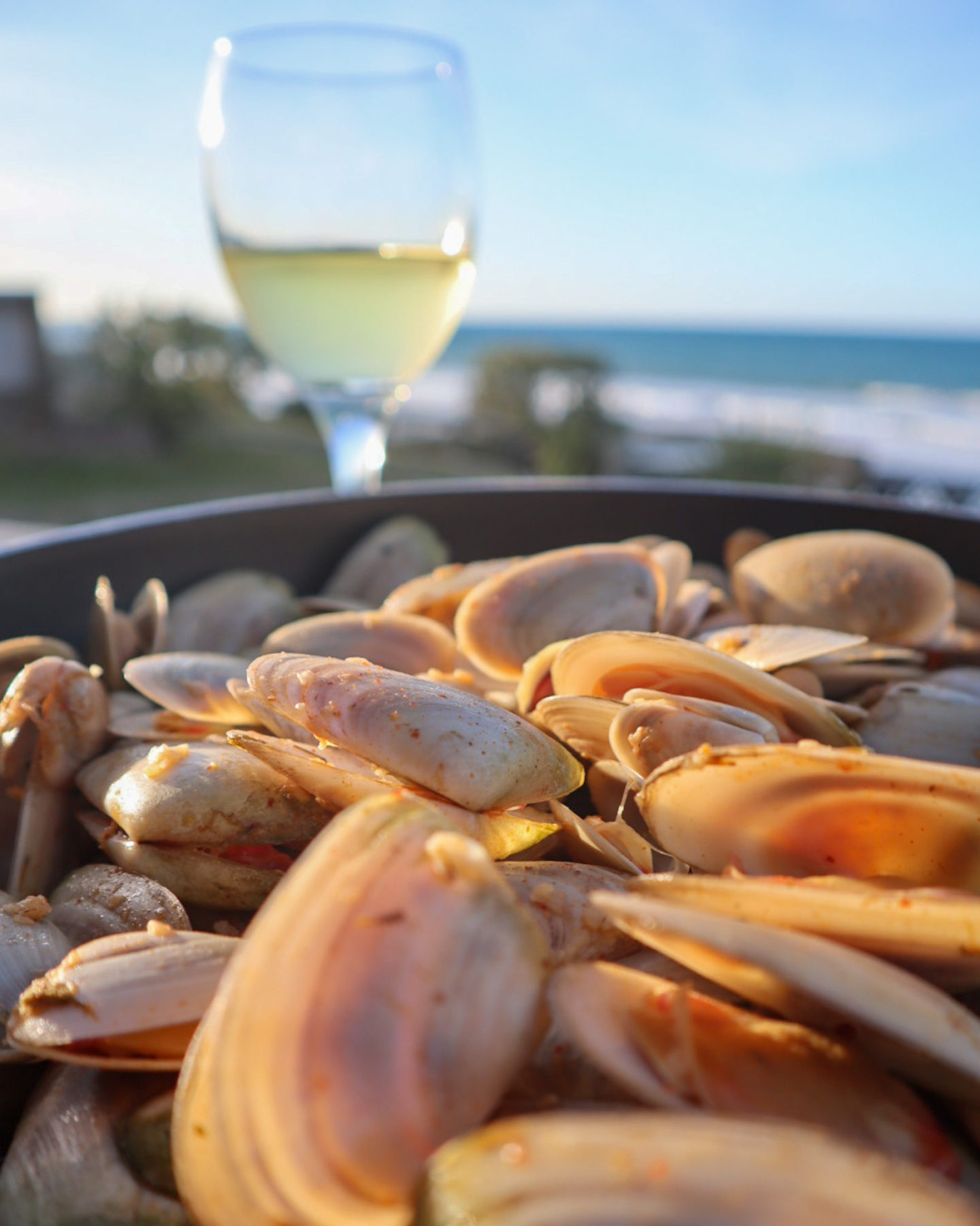 New Zealand Clams: How to Find Tua Tua in the Bay of Plenty