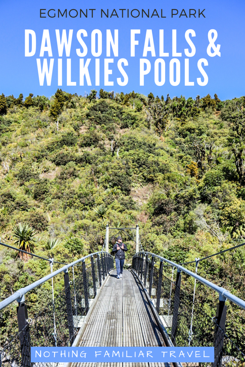 Dawson Falls Walk & Wilkies Pools: 2 Easy New Zealand Trails
