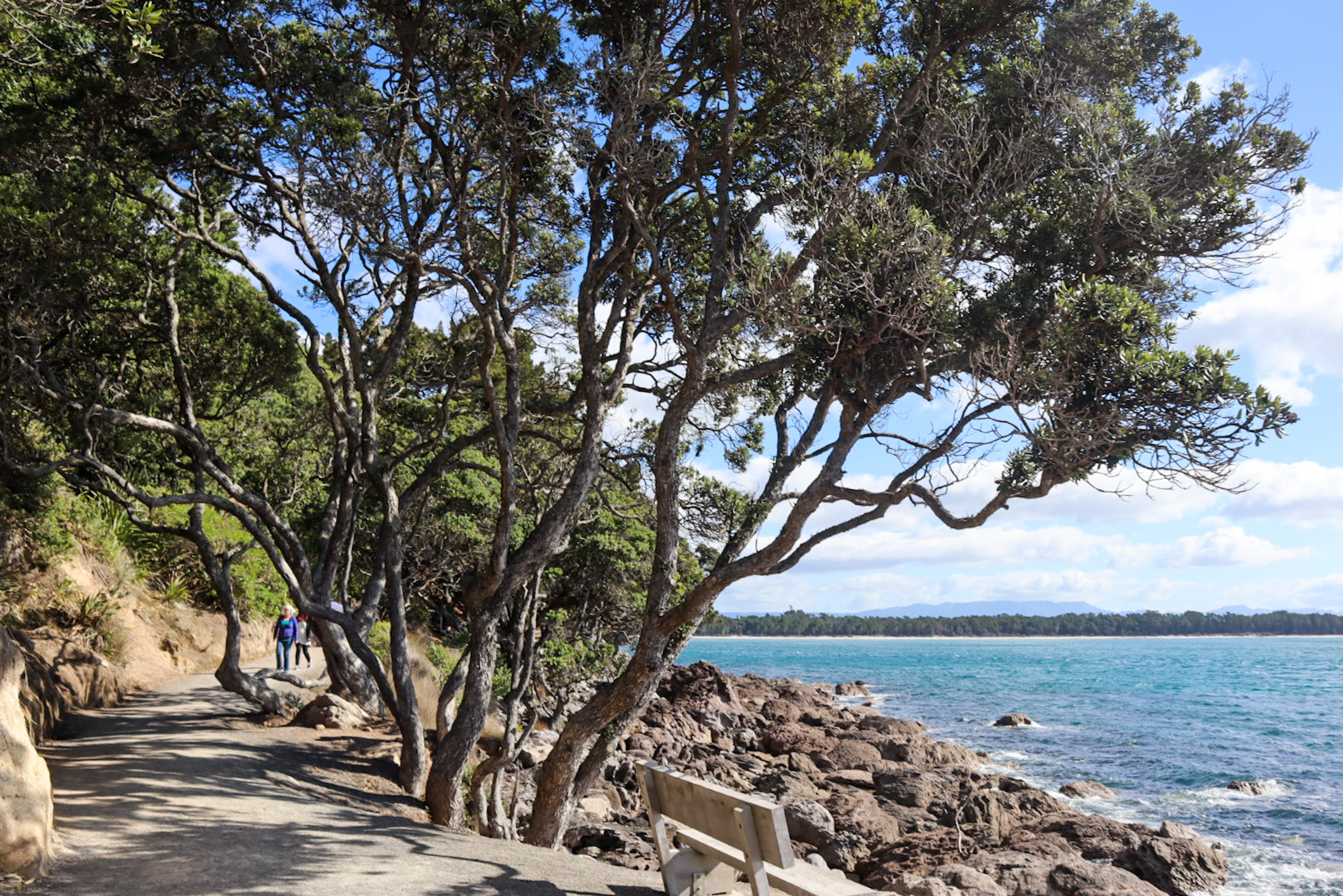 Mount Maunganui Hike: Fun Base Walk & Can't Miss Summit Climb