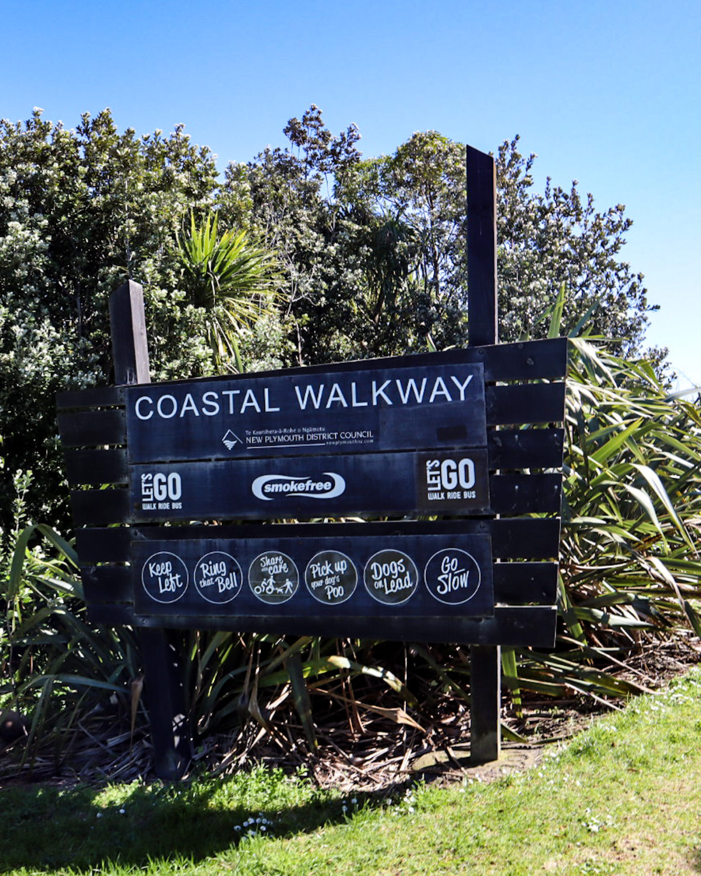 Is the Te Rewa Rewa Bridge Worth Visiting in New Plymouth?