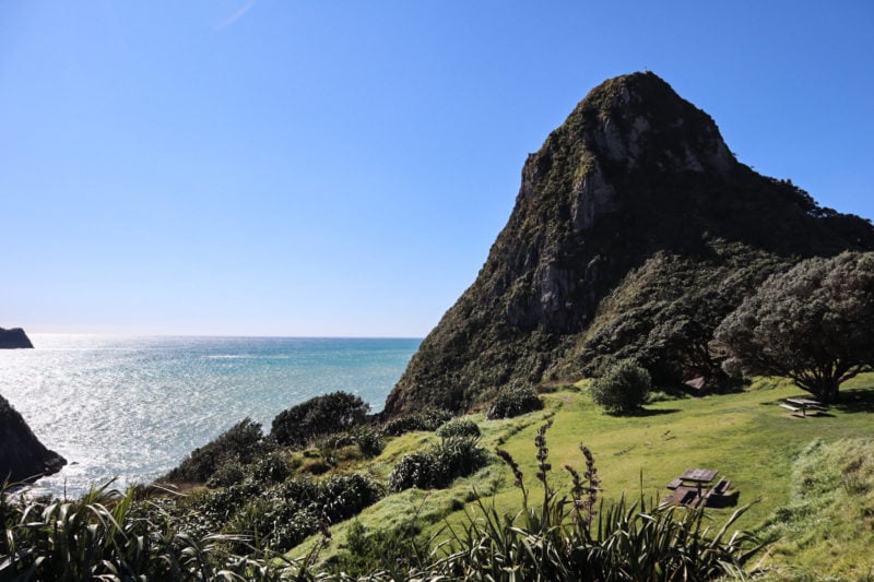 Paritutu Rock Climb: How to Get the Best Views of New Plymouth