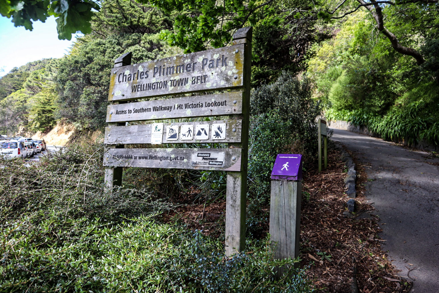 Mount Victoria Lookout: How to Get the Best Views of Wellington