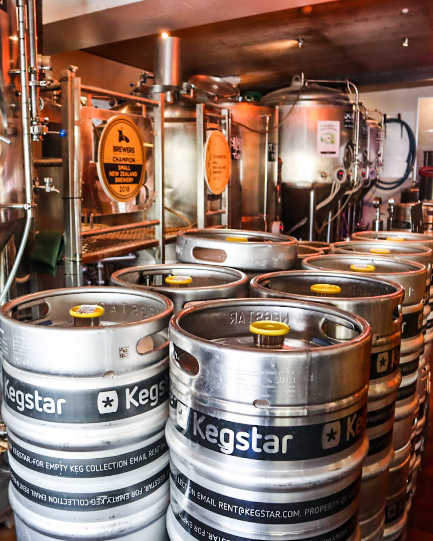 Best Wellington Breweries: Taste of the Craft Beer Capital Trail