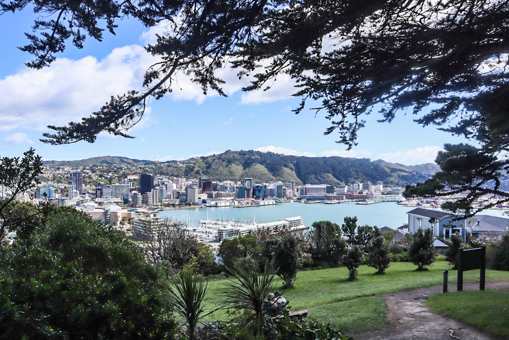 Mount Victoria Lookout: How to Get the Best Views of Wellington