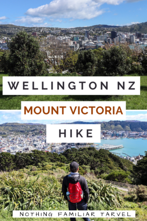 Mount Victoria Lookout: How to Get the Best Views of Wellington