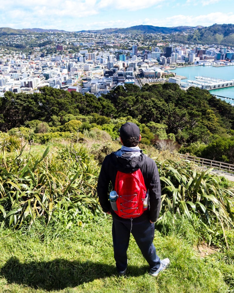 Mount Victoria Lookout: How to Get the Best Views of Wellington