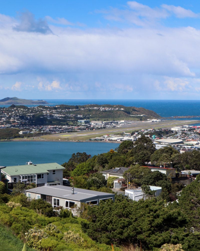 Mount Victoria Lookout: How to Get the Best Views of Wellington