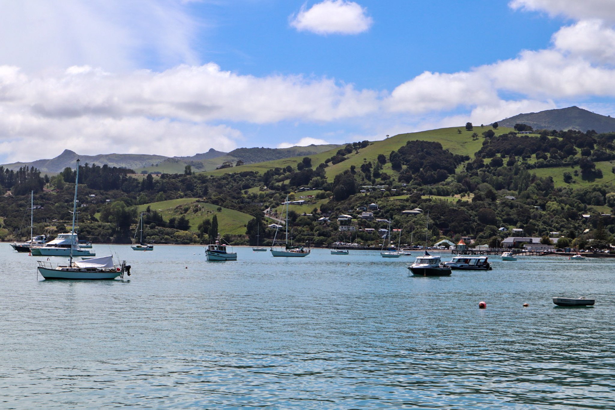 Akaroa New Zealand: How to Visit the Fun French Seaside Village