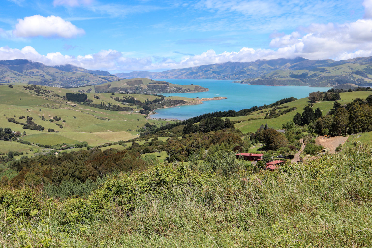 Akaroa New Zealand: How to Visit the Fun French Seaside Village