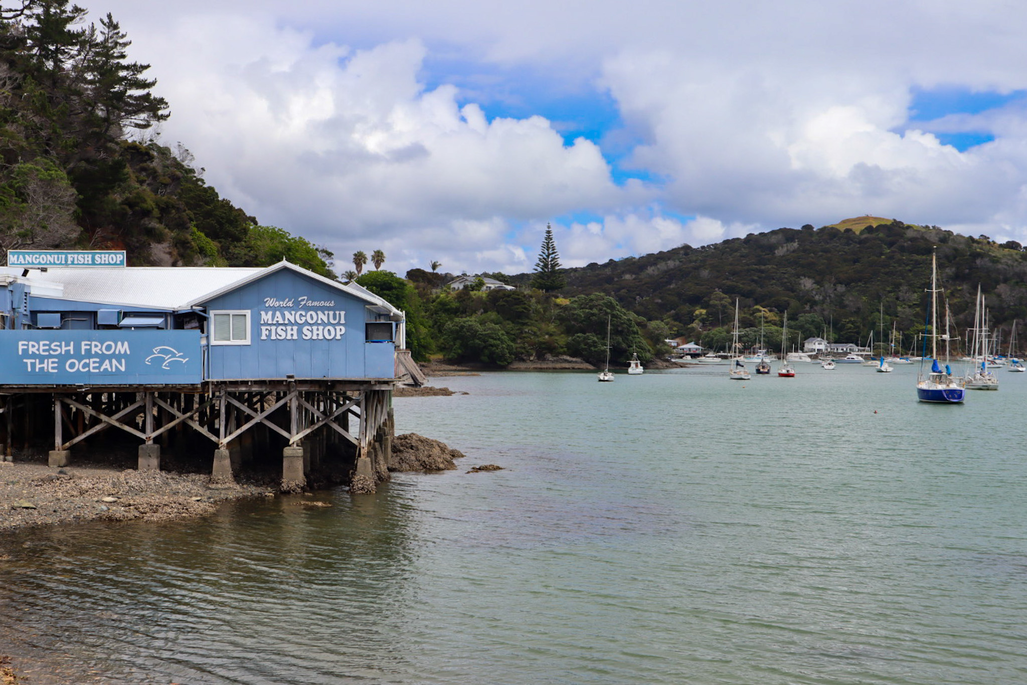 Mangonui New Zealand: Why This Northland Town is Worth Visiting