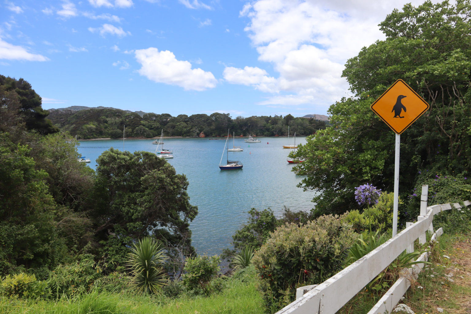 Mangonui New Zealand: Why This Northland Town is Worth Visiting