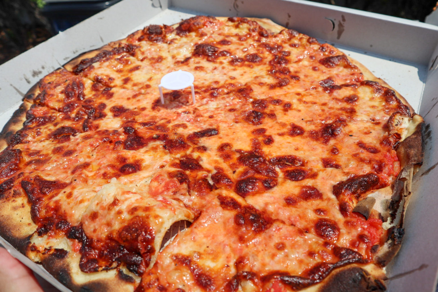 Best Pizza in New Haven Connecticut: Frank Pepe's, Sally's & Modern