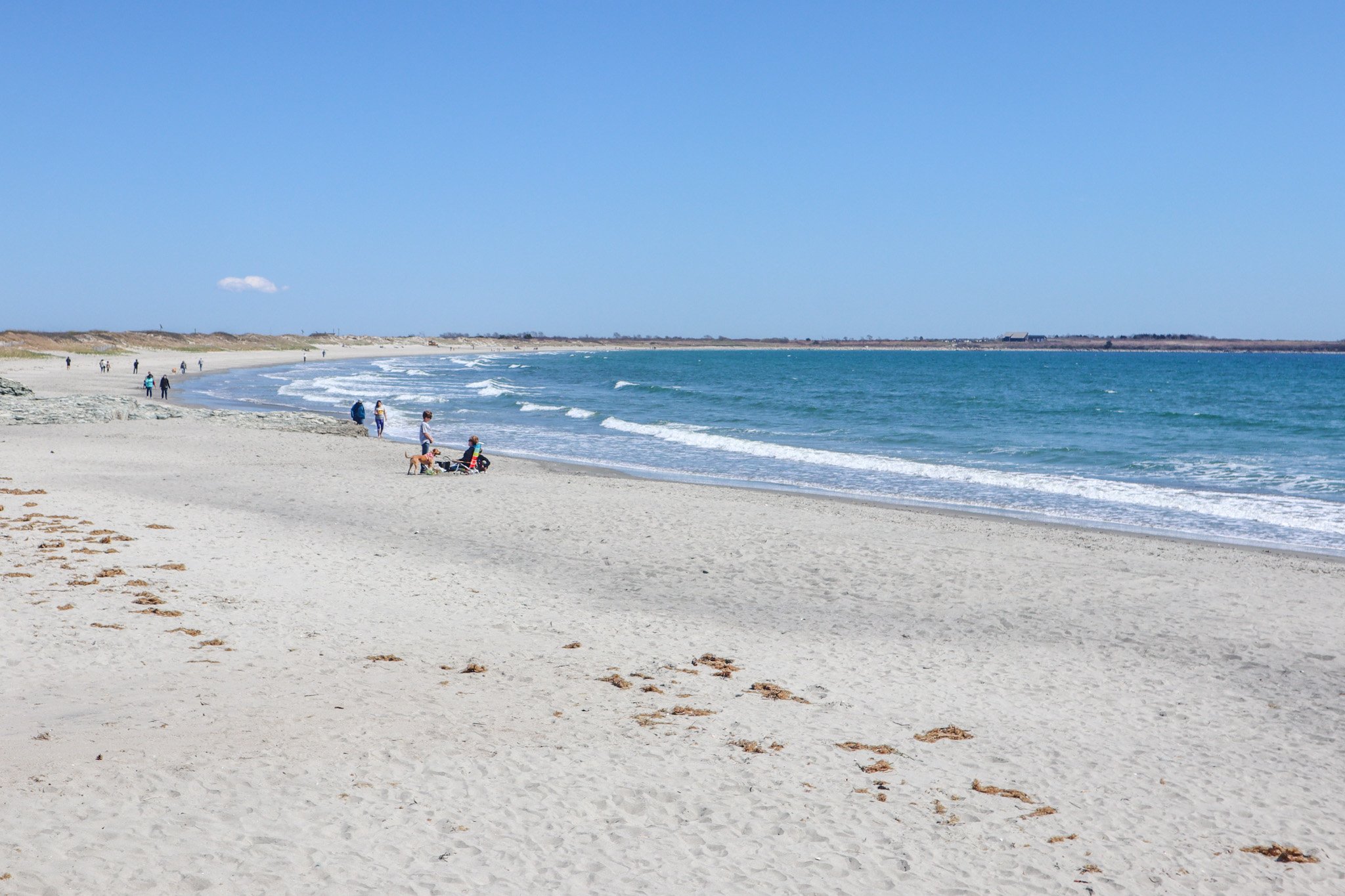 Sachuest Point: How to Visit the Beautiful National Wildlife Refuge