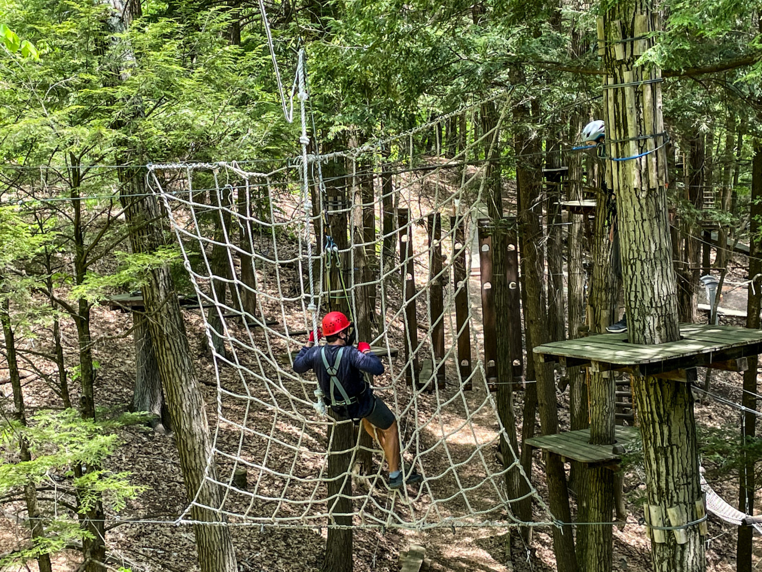 Ramblewild: Our High Flying Trip to the Aerial Adventure Park