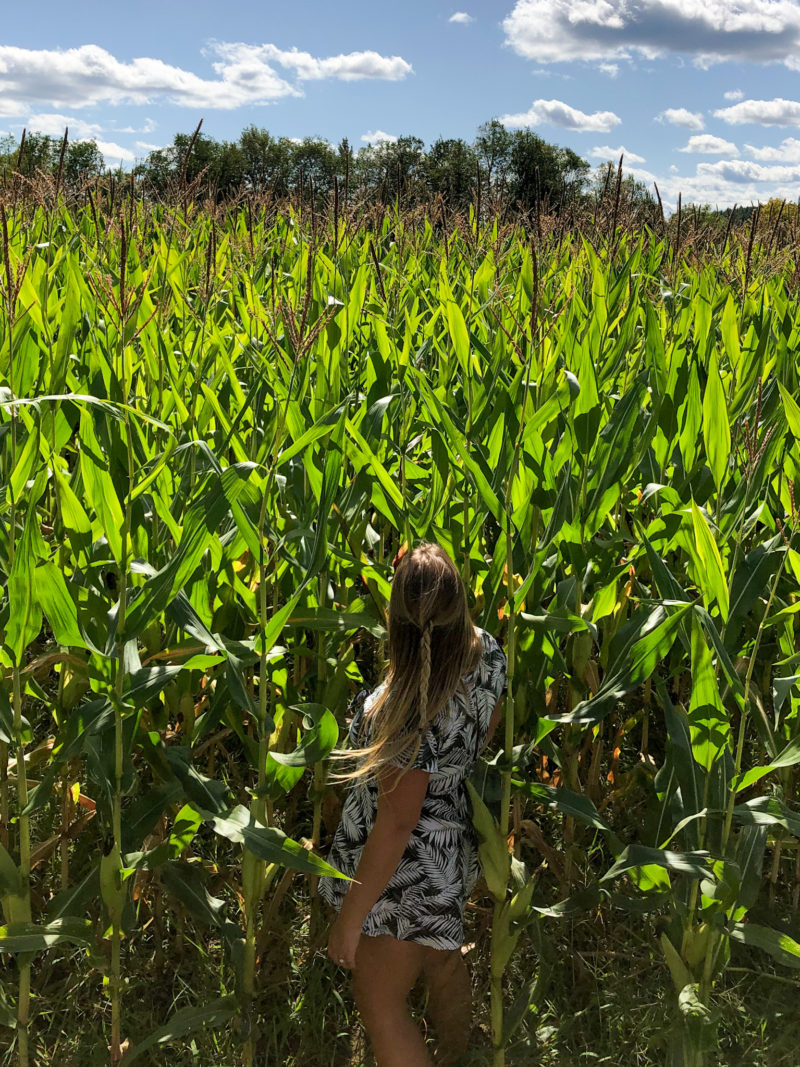 Planning a Visit to the Berkshires: 10 Step Easy Travel Guide