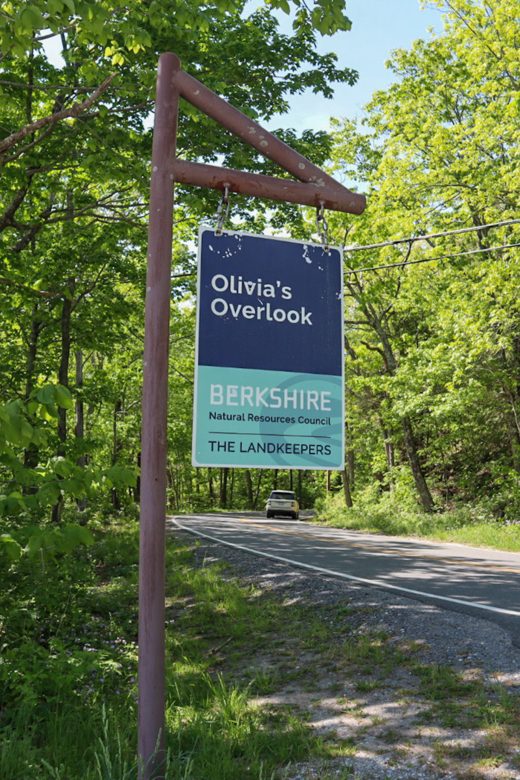 Guide to Olivia’s Overlook: Beautiful View and Fun Hiking Trails