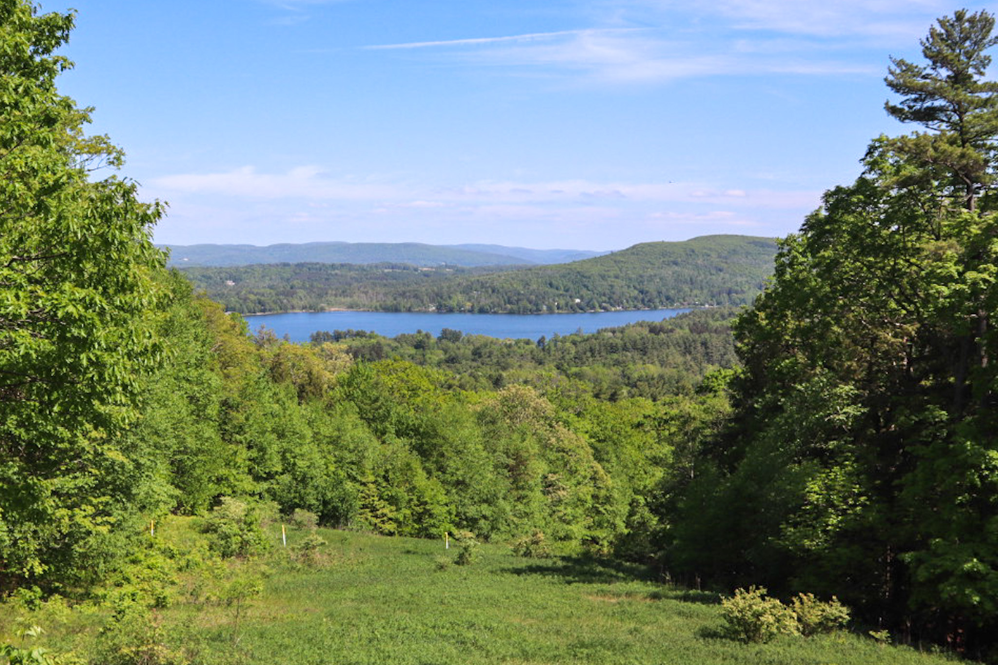 Guide to Olivia’s Overlook: Beautiful View and Fun Hiking Trails