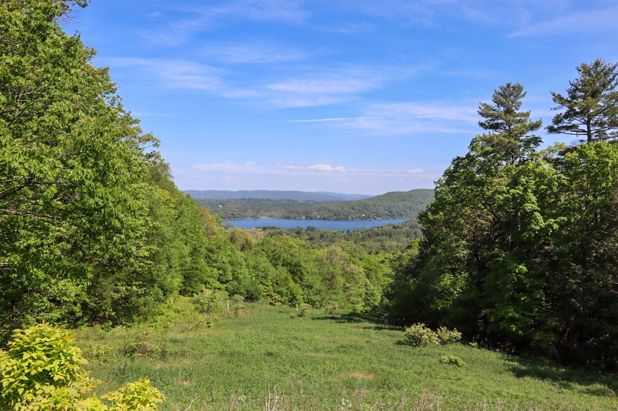 Guide to Olivia’s Overlook: Beautiful View and Fun Hiking Trails