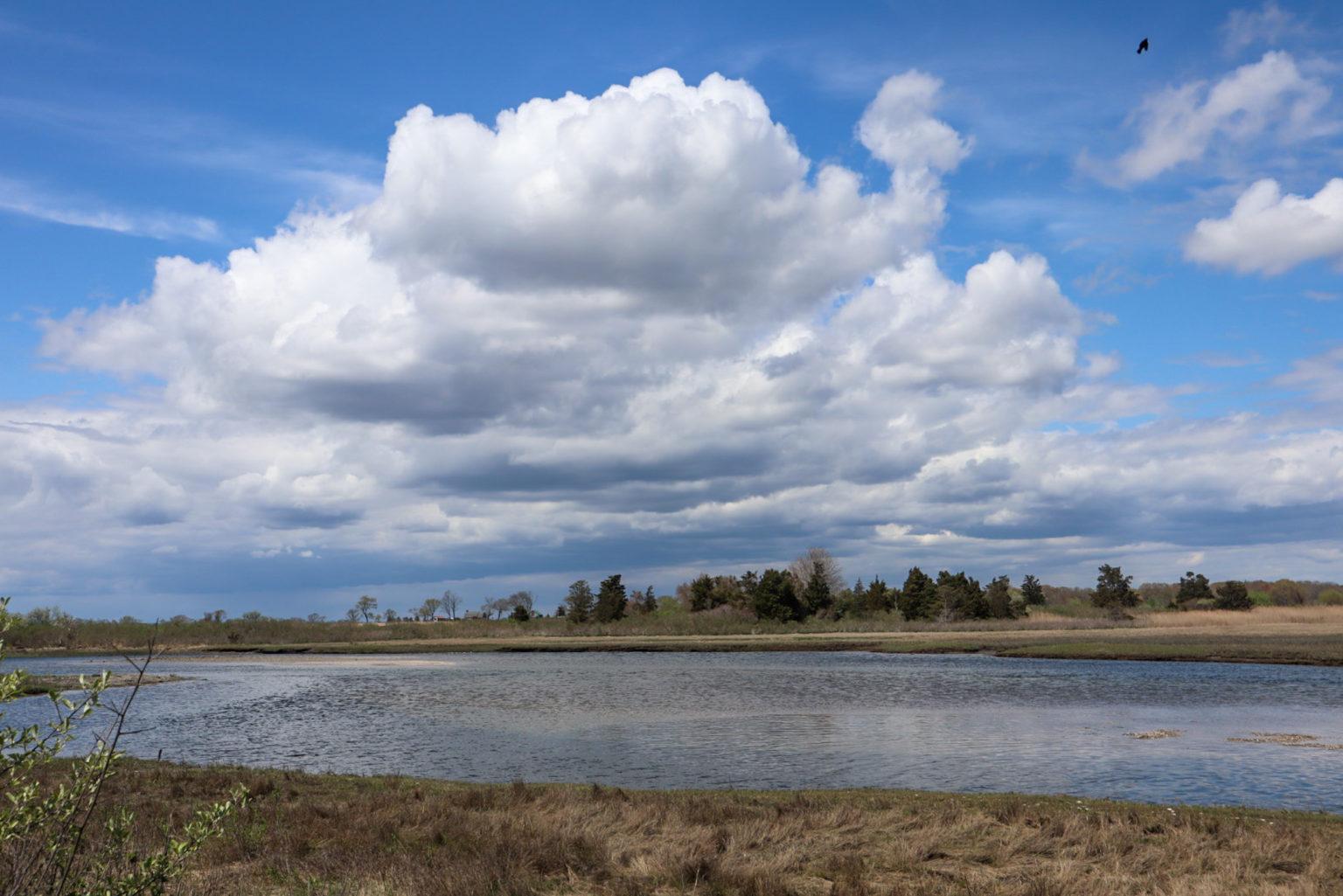 10 Best Things to do in Tiverton Rhode Island