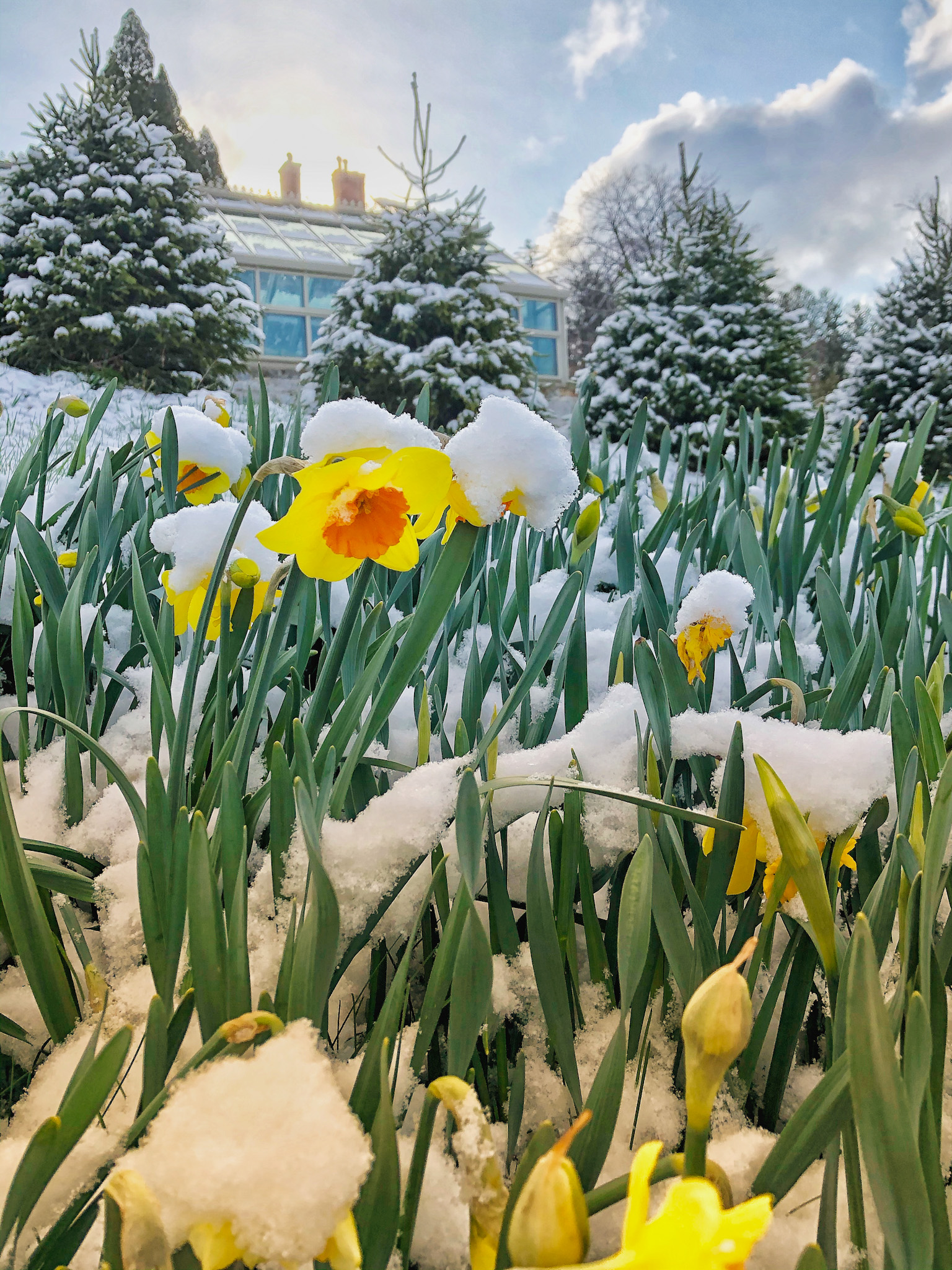 Planning a Visit to the Berkshires: 10 Step Easy Travel Guide