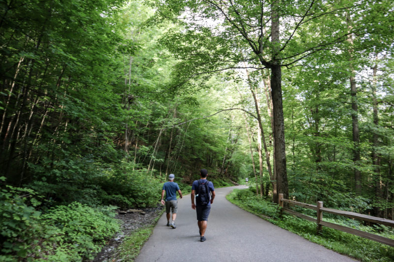 Mount Philo: Fun & Helpful Tips for the Easy Vermont Hike