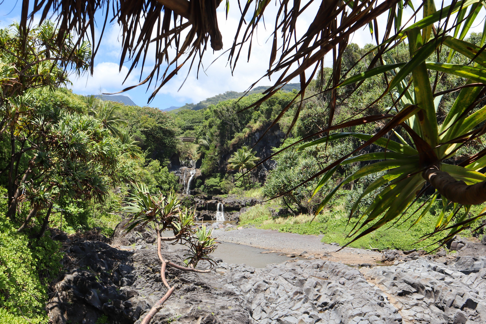 11 Best Hikes on Maui Hawaii & Coastal Walking Trails