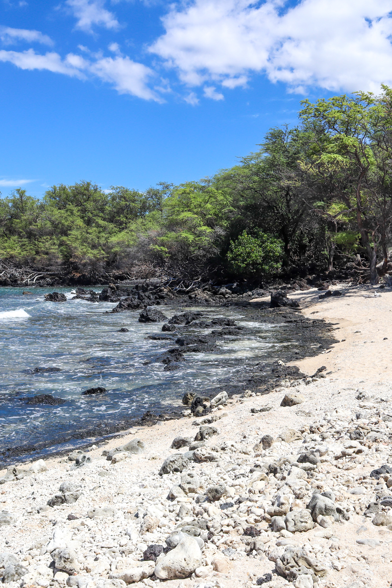 Hoapili Trail Guide: How to Hike Maui's Lava Field With Funny Wild Goats