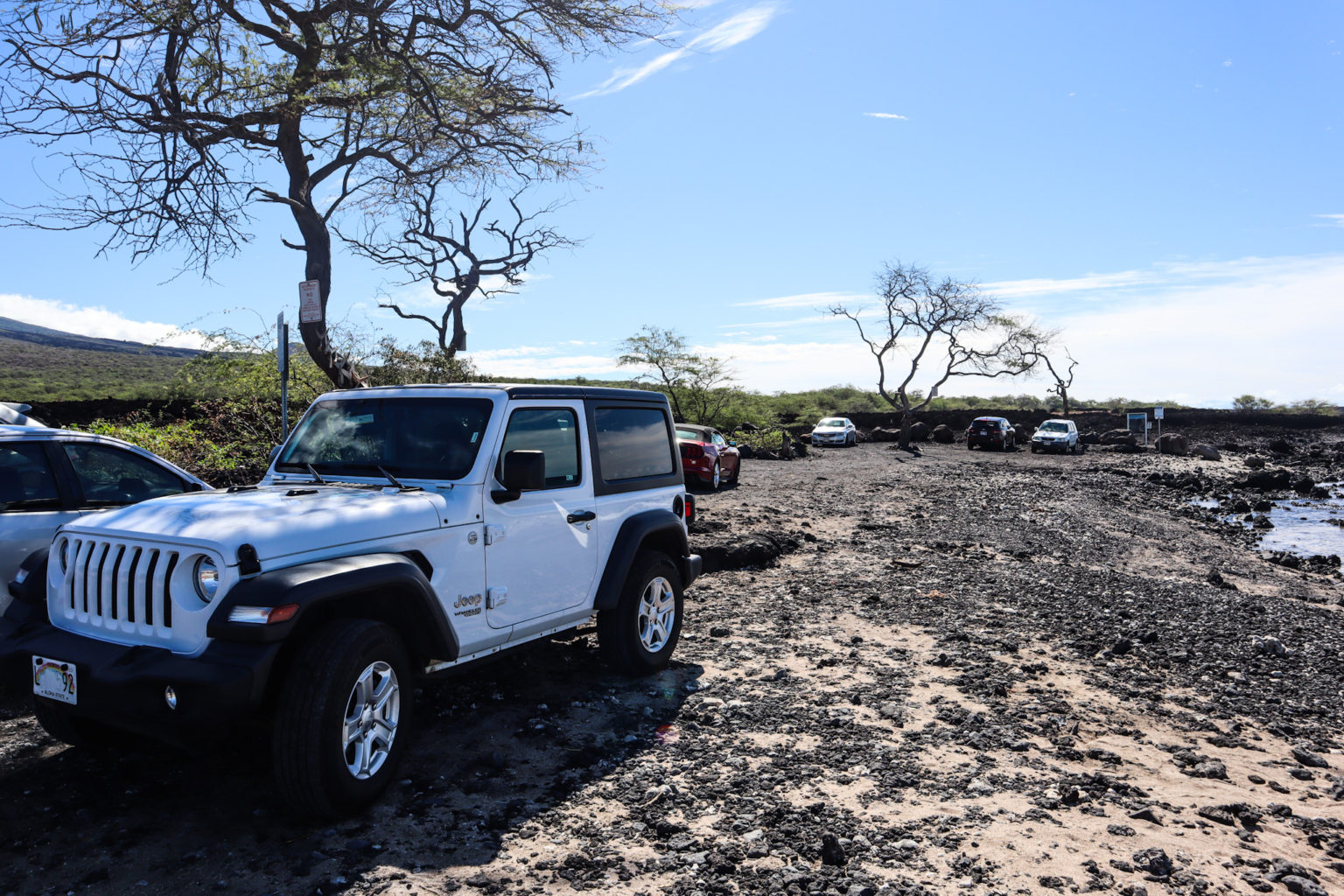 Hoapili Trail Adventure: Maui's Lava Field Hike With Wild Goats!