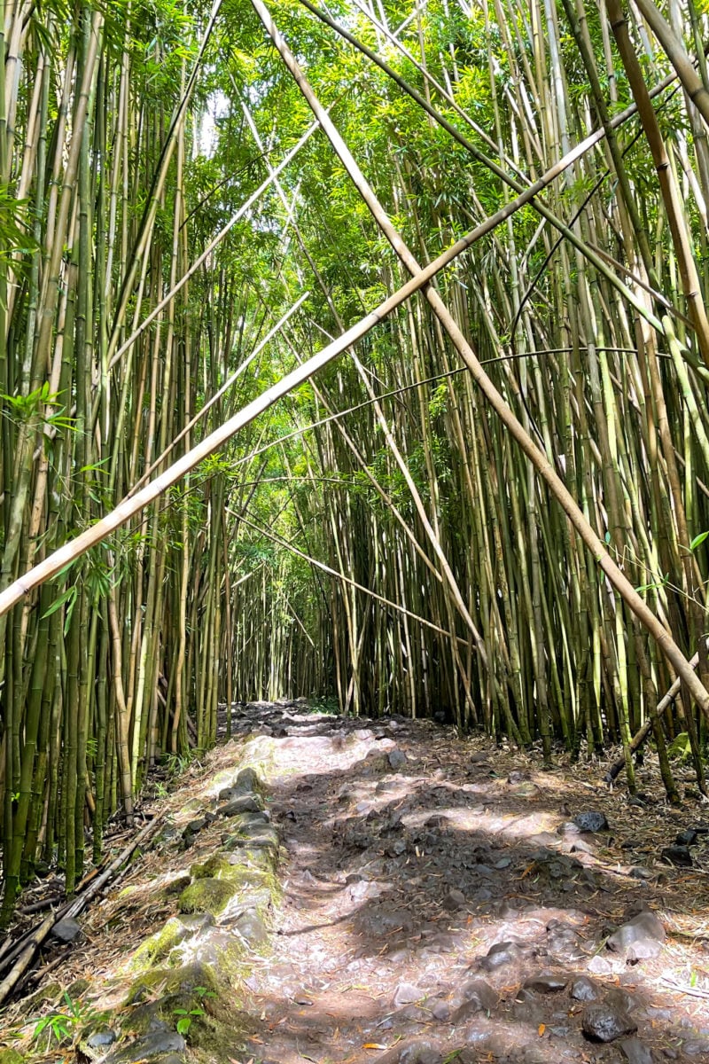 Pipiwai Trail Maui: Bamboo Forest Hike to a 400 Foot Waterfall!