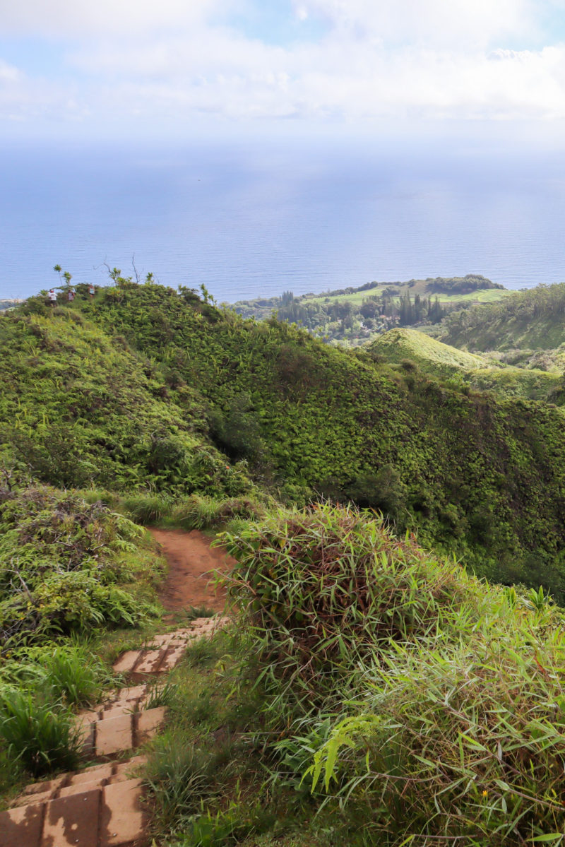 Waihee Ridge Trail: Why It's the Maui Hike You Can't Miss!
