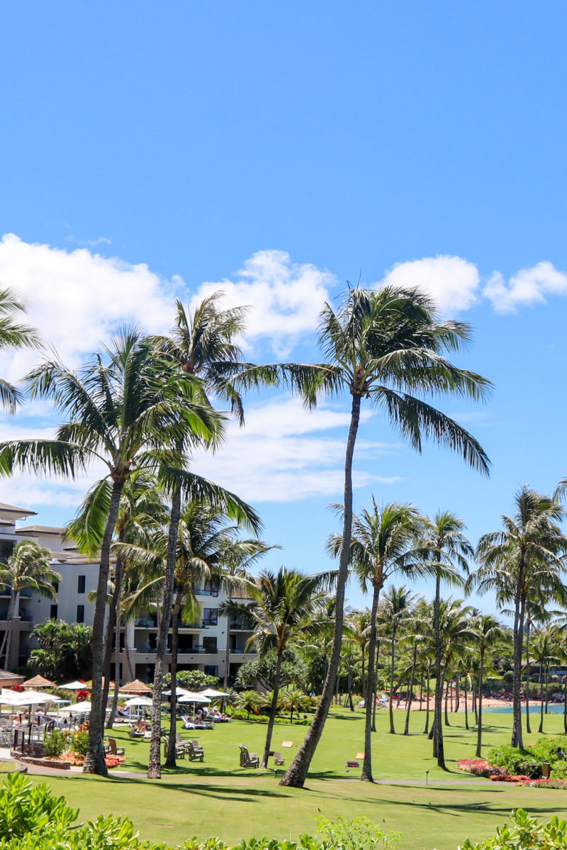 10 Easy Tips For Planning a Trip to Maui Hawaii