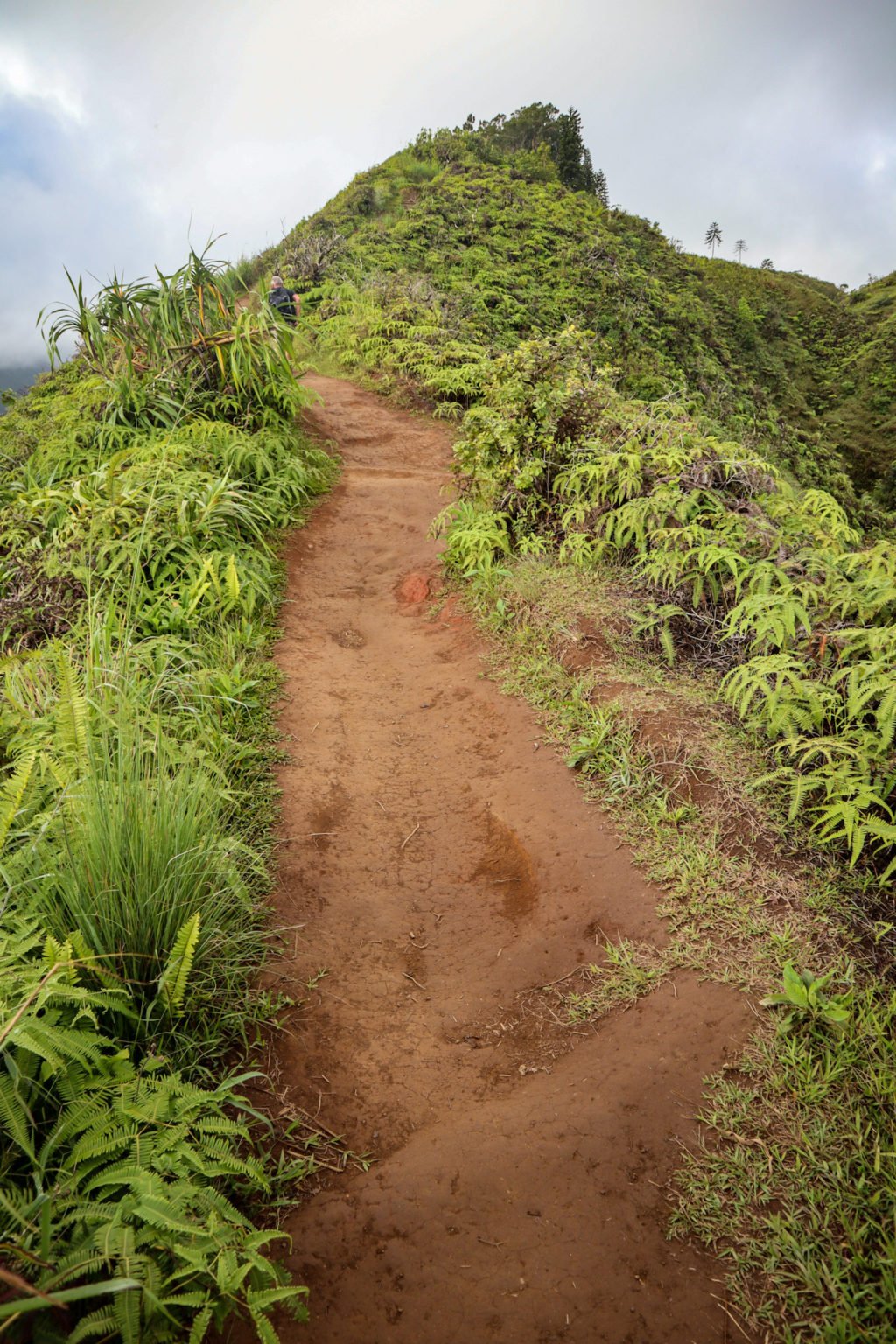 Waihee Ridge Trail: Why It's the Maui Hike You Can't Miss!