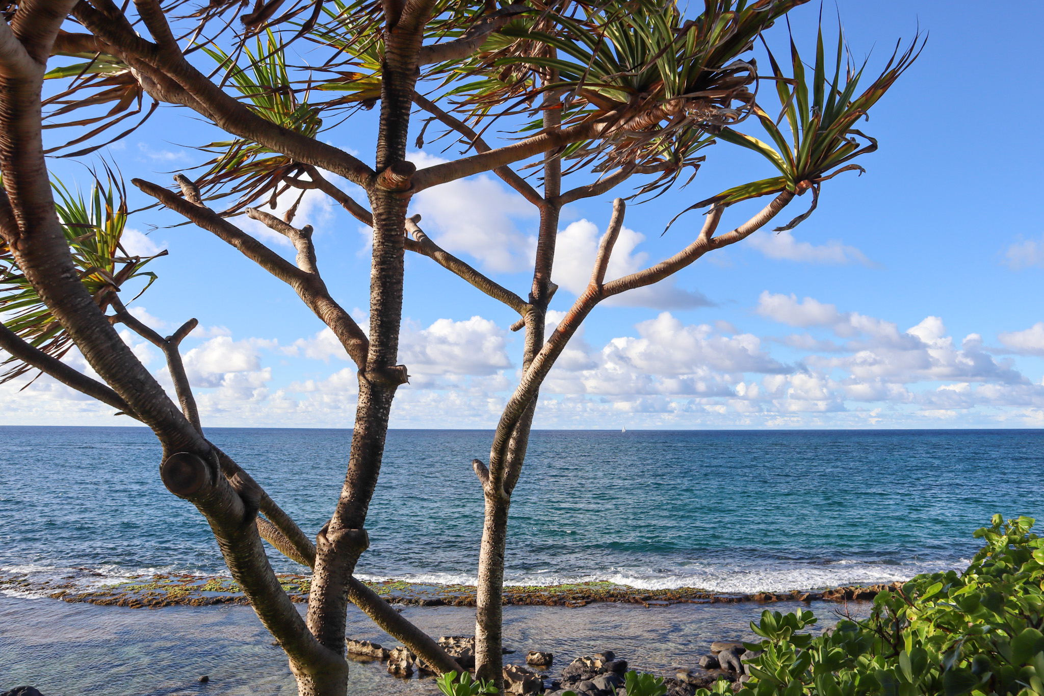 20 Fun Facts About Maui Hawaii to Know Before You Go