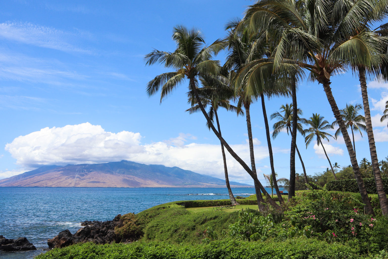 20 Fun Facts About Maui Hawaii to Know Before You Go