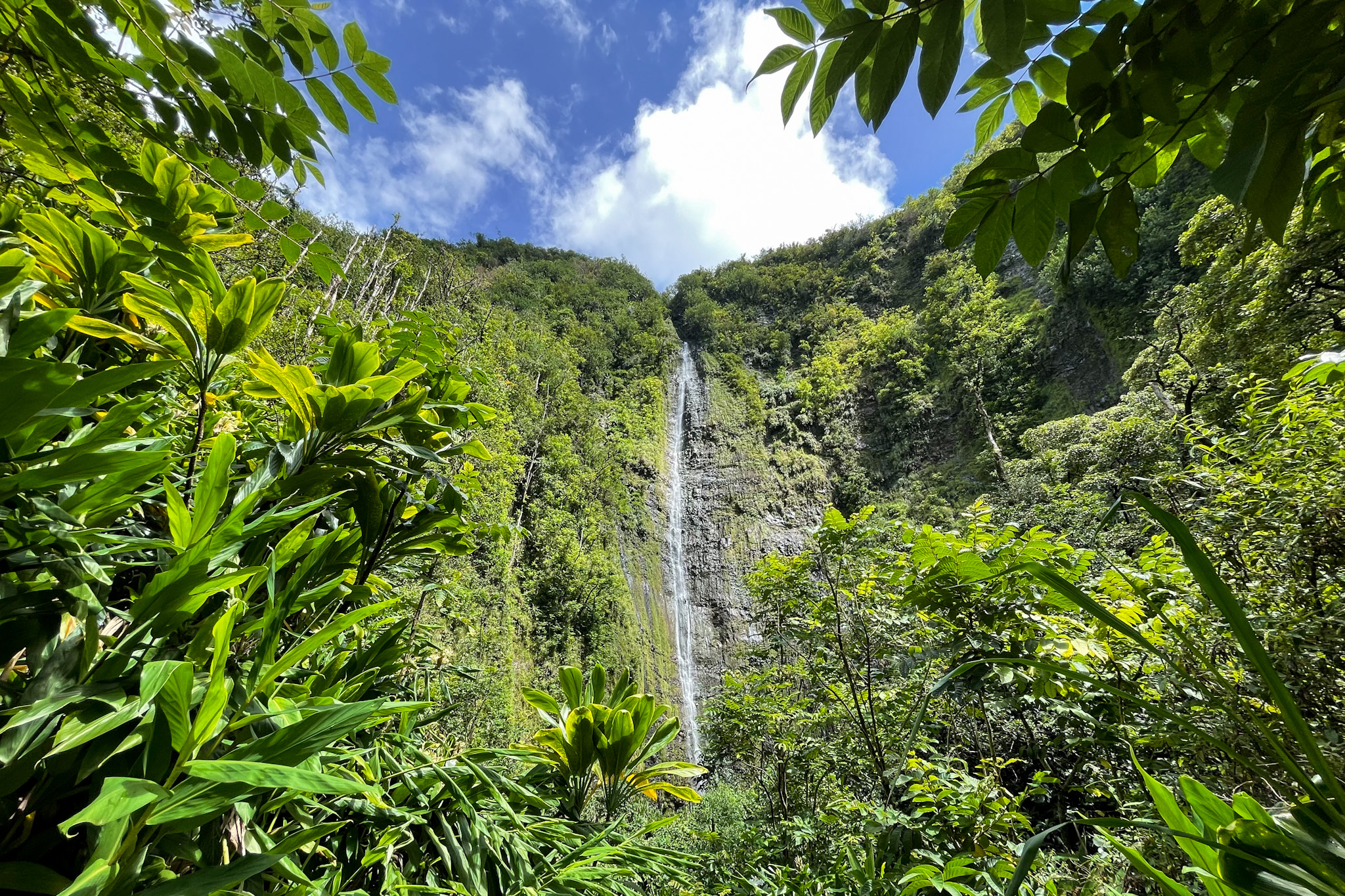 20 Fun Facts About Maui Hawaii to Know Before You Go
