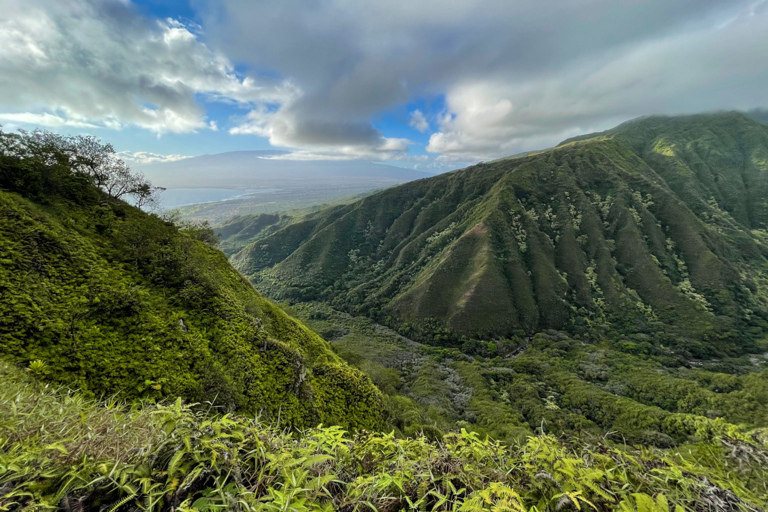 20 Fun Facts About Maui Hawaii to Know Before You Go