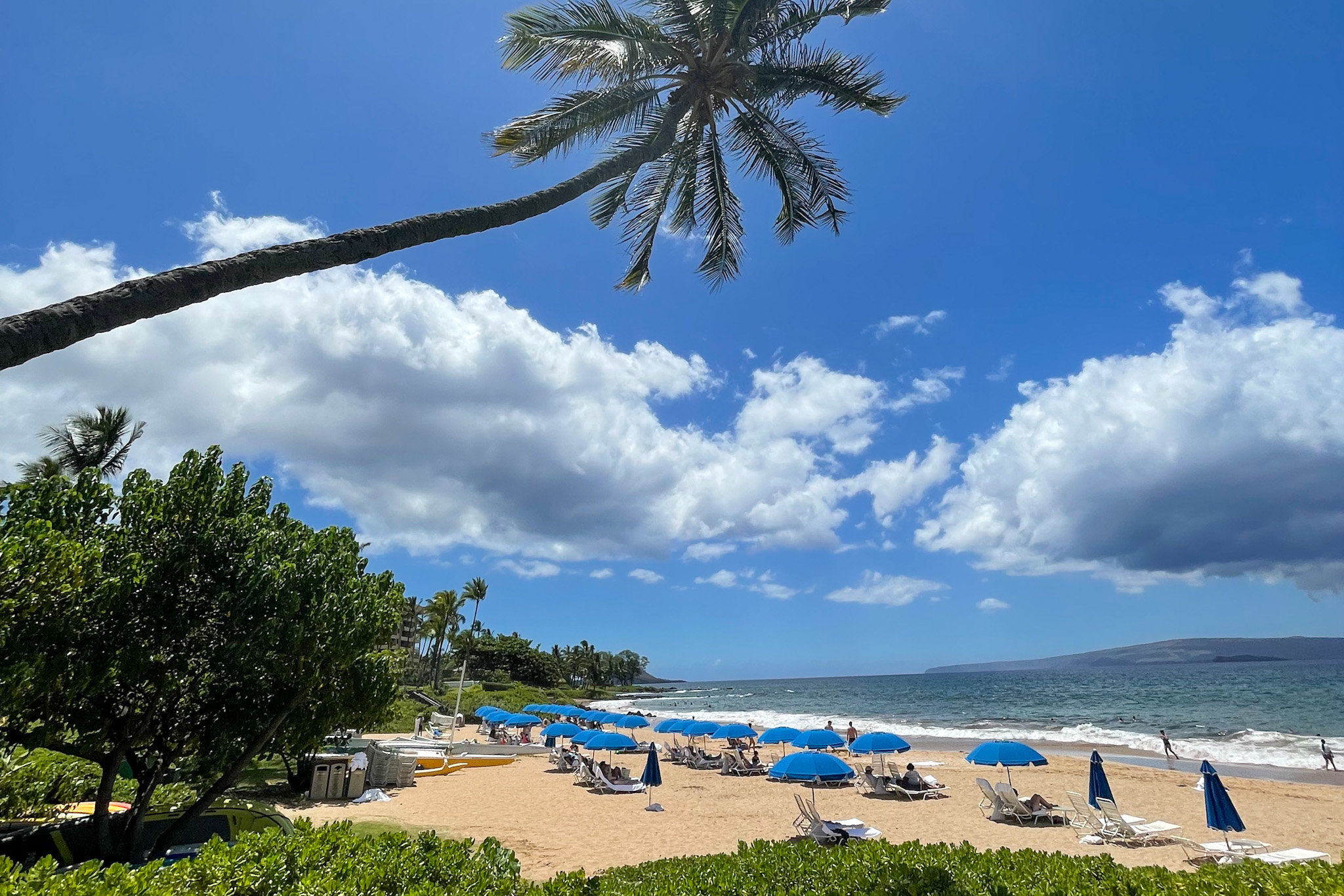 20 Fun Facts About Maui Hawaii to Know Before You Go