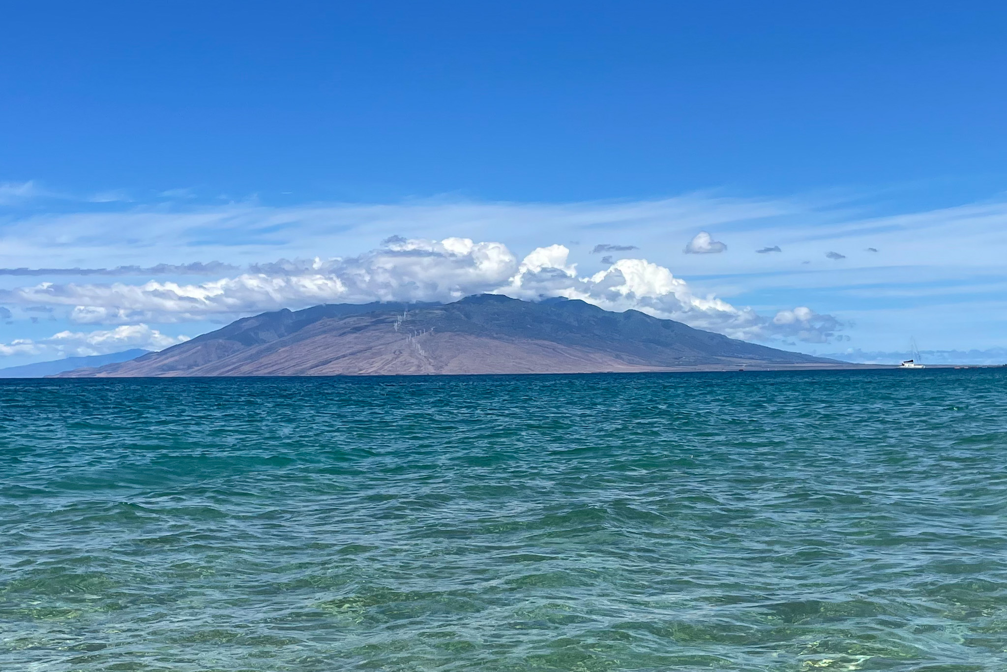 Do You Know These 20 Fun Facts About Maui, Hawaii? Visual Story – JGJR