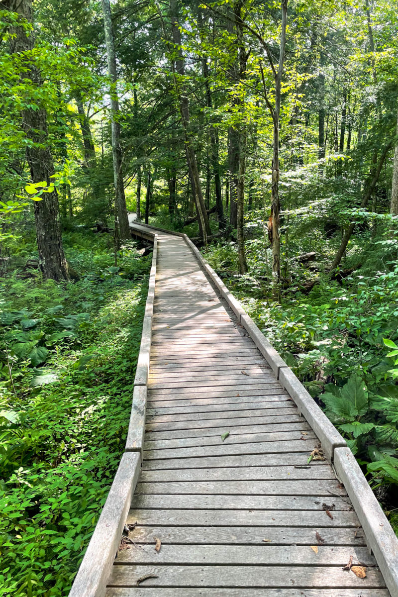 6 Best Small Towns to Explore on a Trip to The Berkshires